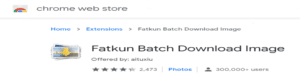 ᐅ • Fatkun Bulk Image Downloader Chrome