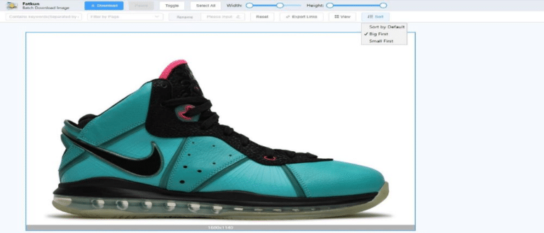 ᐅ • Fatkun Bulk Image Downloader Chrome